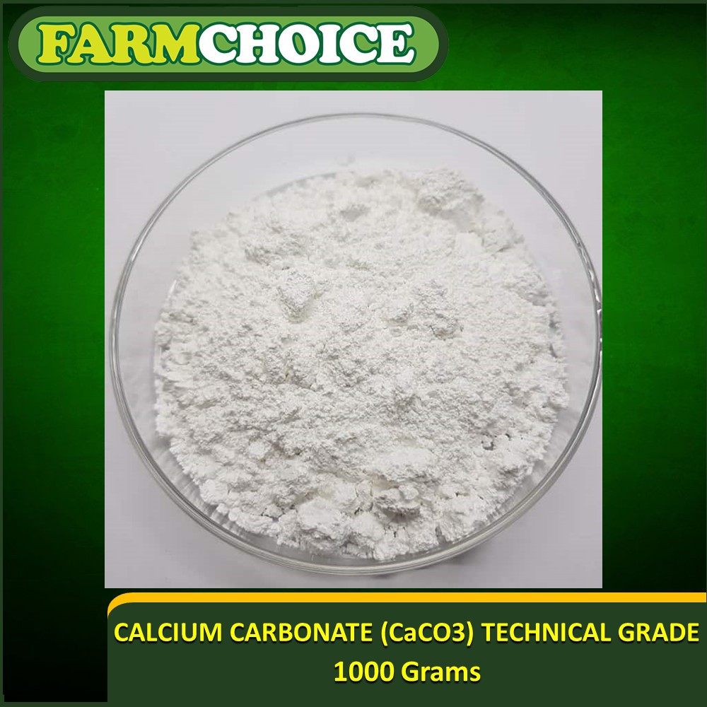 Calcium Carbonate (CaCO3) Technical Grade 1Kg Powder | Shopee Philippines