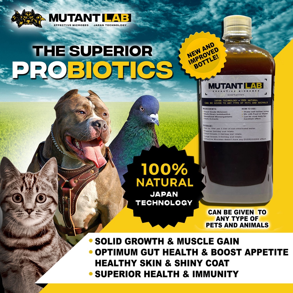 Mutant Lab Probiotics + MultiVitamins for Dogs, Cats and other Pets ...