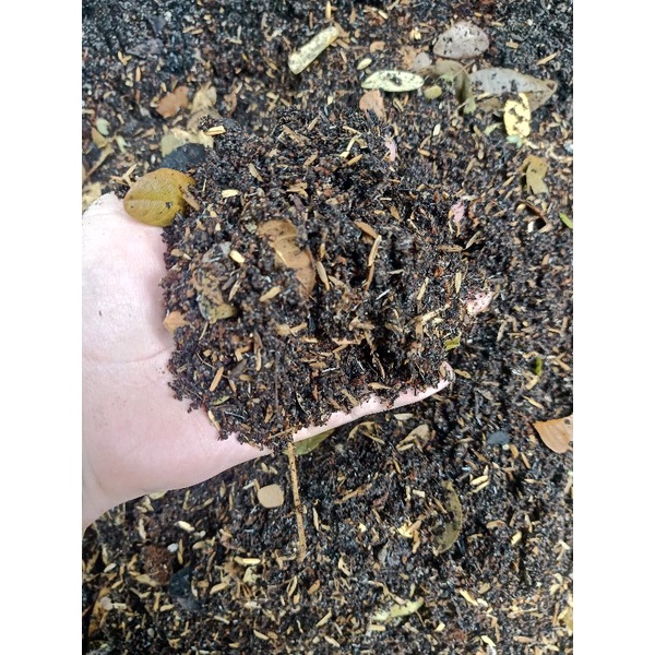 1kg GARDEN SOIL pack | Shopee Philippines