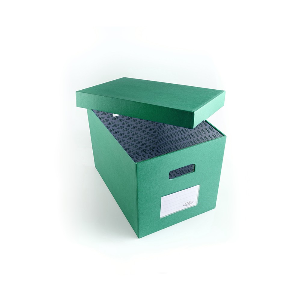 Starfile Storage Box - ( Arlin/ Buffalo Skin) | Shopee Philippines