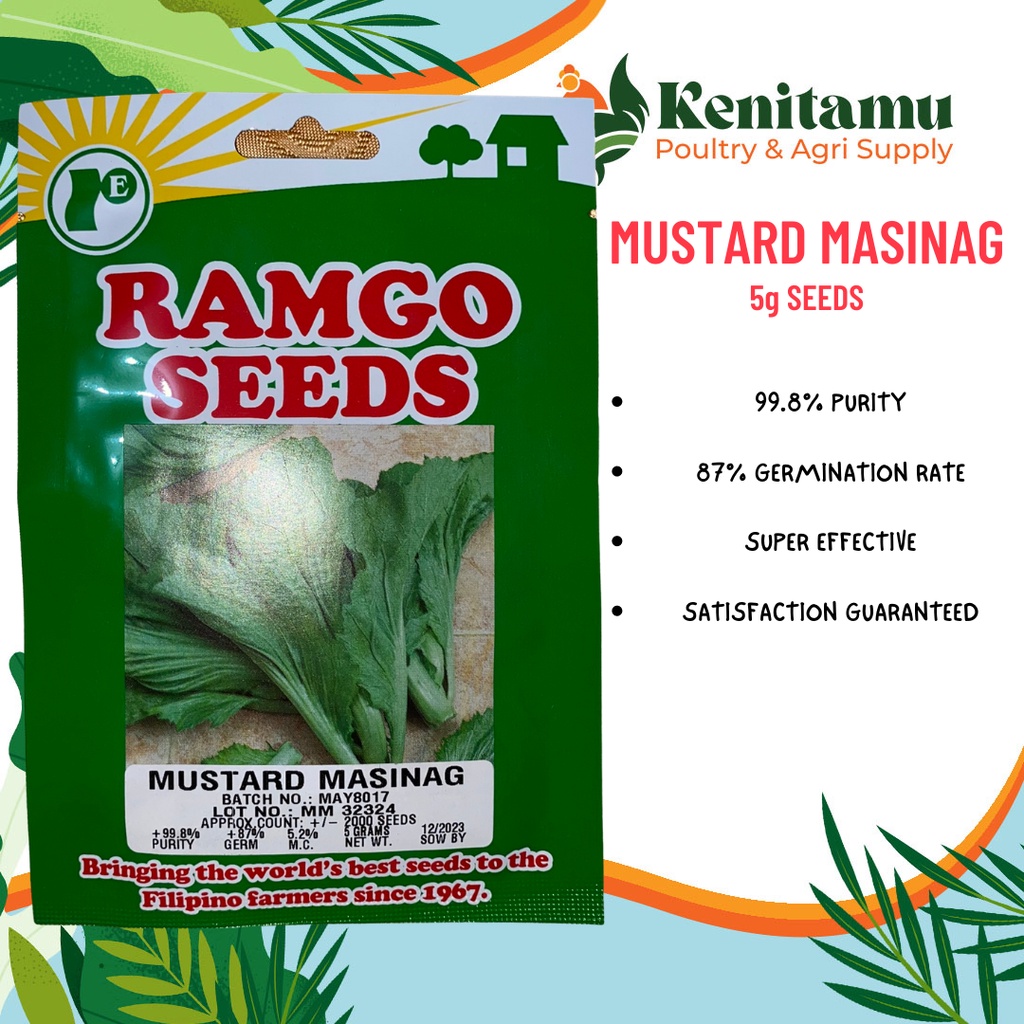 MUSTARD MASINAG SEEDS 5g BY: RAMGO | Shopee Philippines