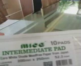 10pads Intermediate Mica Long Pad from Japan 80 leaves Grade 6 pad ...