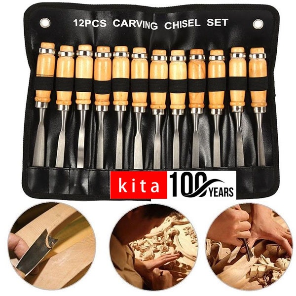 12pcs Professional Manual Wood Carving Hand Chisel Carving Tool Set ...