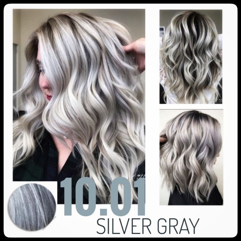 Silver Gray Bremod Hair Color | Shopee Philippines