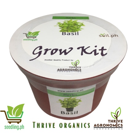 Basil Herbs Grow Kit Seedling Kit Starter Kit Planting Kit Pizza Pasta ...