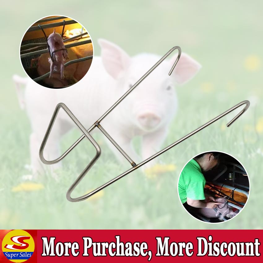 【SuperSales】Pig Castration Hook Ovariohysterectomy Spay Hooks Genaral ...