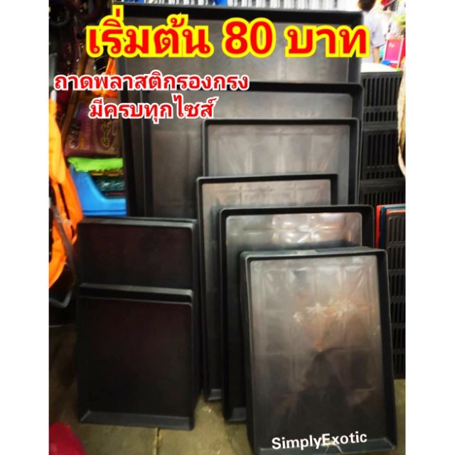 Plastic Pet Cage Support Tray Dog Base | Shopee Philippines