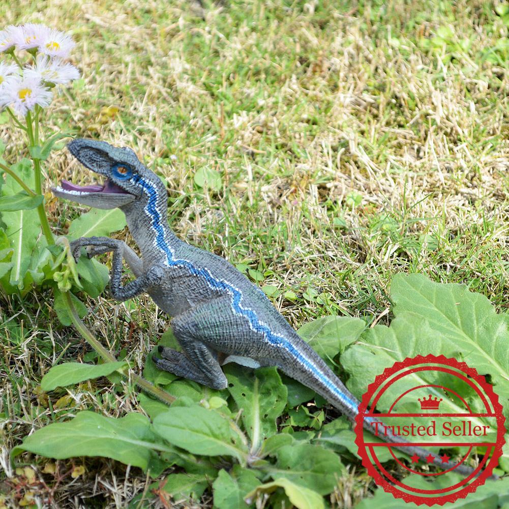 Jurassic Blue Raptor Dinosaur Velociraptor Toy Educational Model A0E2 ...