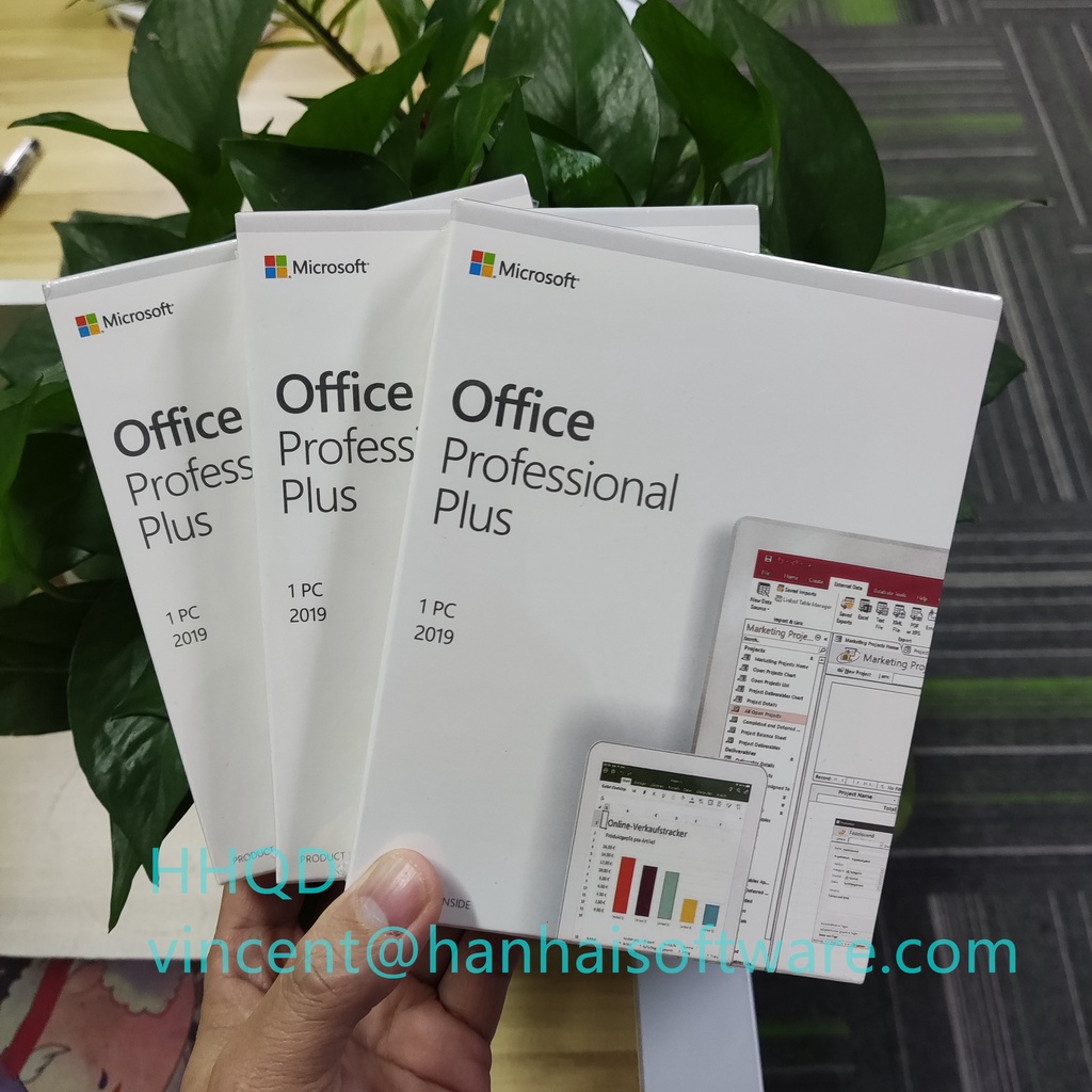 Office 2019 Pro Plus Pro Plus Edition USB Boxed Genuine Office 2019 ...
