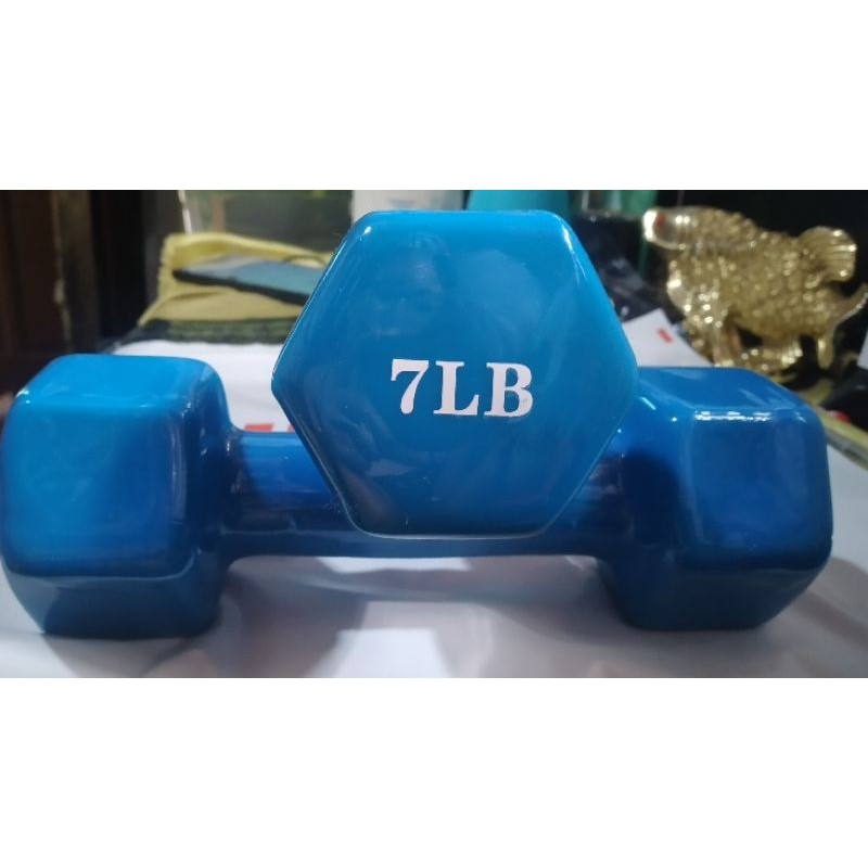 vinyll dumbell 7lbs pair | Shopee Philippines