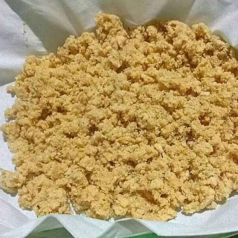 Maggot bsf Egg 1 Grams | Shopee Philippines