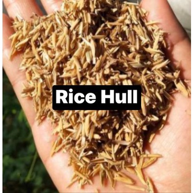 DNC Fresh RICE HULL / (Ipa ng Palay) : Soil Conditioner Plant Beddings ...