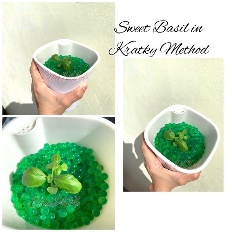 Crystal Soil/Plant Medium/Water Gel | Shopee Philippines