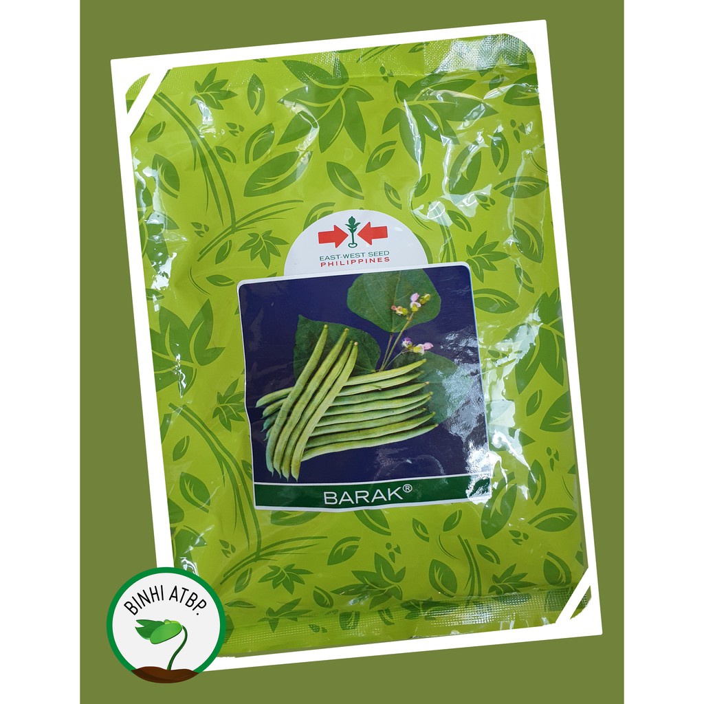 East-west Bean Barak (Snap Beans) Seeds (1 Kg Pack) | Shopee Philippines
