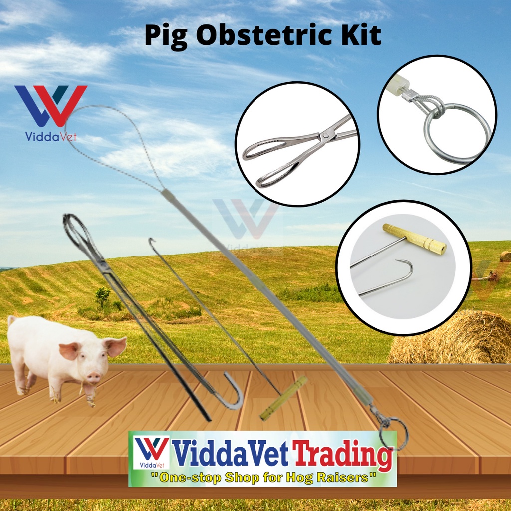 Obstetric Midwifery Kit for Pigs / Forceps Obstetrical Instrument ...