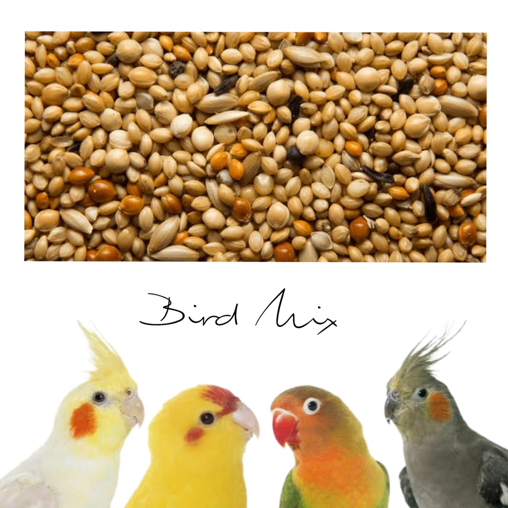 BIRD MIX AFRICAN MIX CANARY MIX Birdseeds 1 kilo Repacked for Finches ...