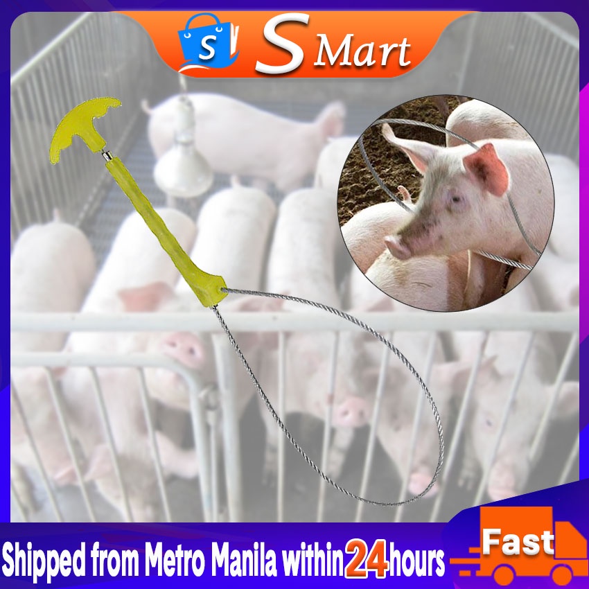 Pig Fixed Rope Wire Ropes Trap Pig Squeezer Holder Catcher Livestock ...