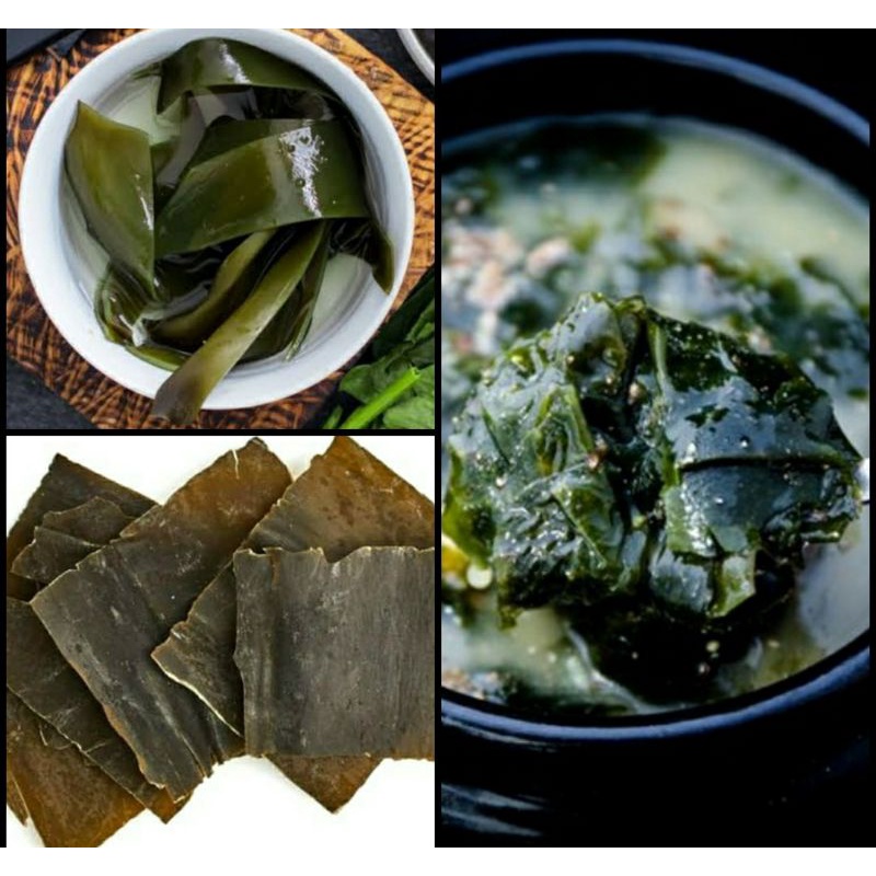 Kombu 10gr / Dashi Konbu / Dashima / Haidai / Dried Seaweed | Shopee ...