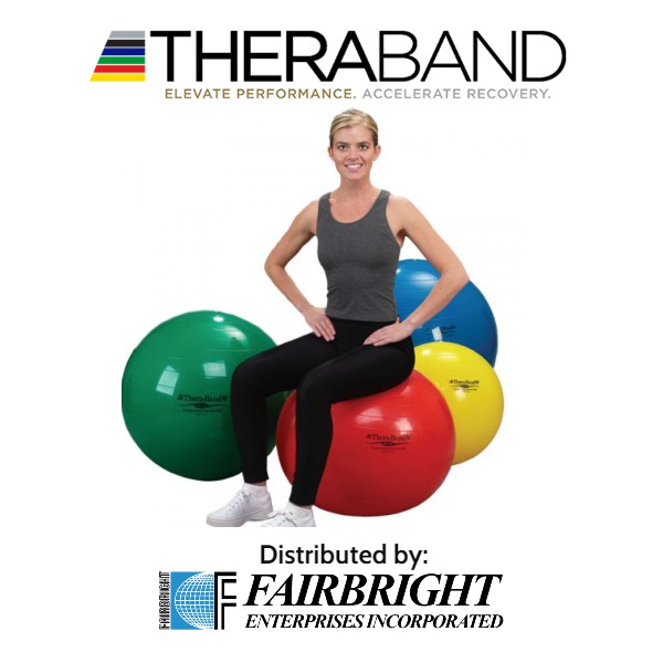 TheraBand Standard Exercise Balls for Core Strength Training and ...
