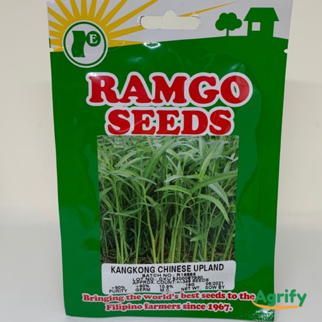 Chinese Kangkong Seeds Upland Seeds 300 seeds binhi Ramgo Spinach ...