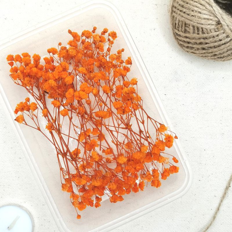 DRIED GYPSO IN TUB/ DRIED FLOWER BAZAAR | Shopee Philippines