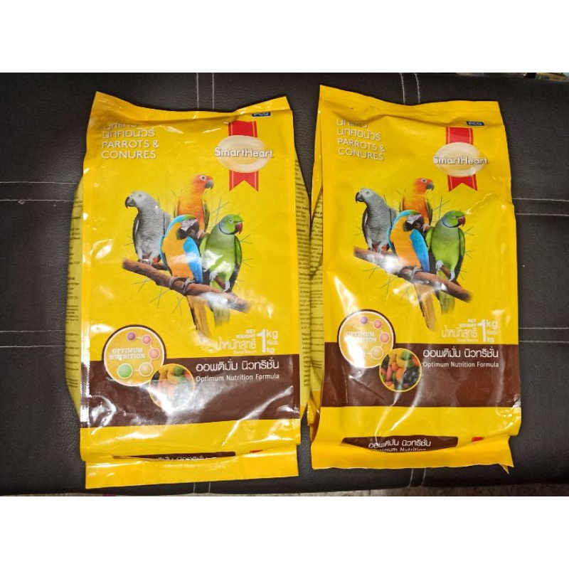Smart Heart Parrots & Conures | Shopee Philippines