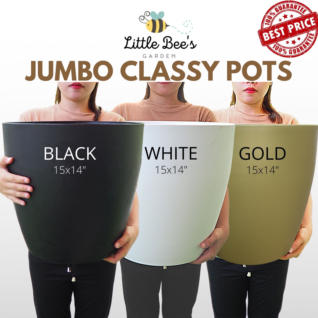 water dipper - Best Prices and Online Promos - Jun 2026 | Shopee ...