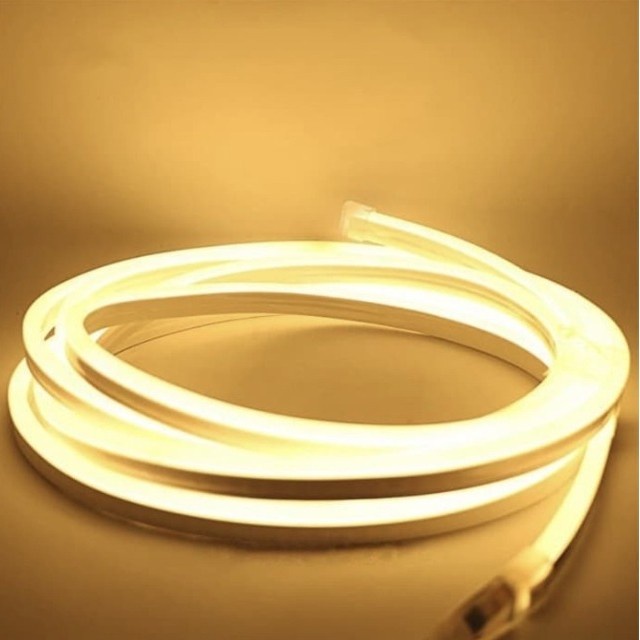 Led Neon Flex Hose Light AC 220V Warm White Meter | Shopee Philippines