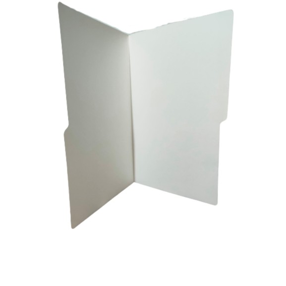 50pcs WHITE FOLDER (SOLD PER 50PCS) | Shopee Philippines