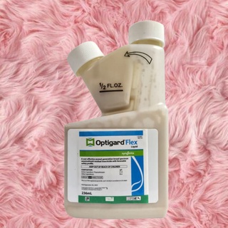 cockroach - Best Prices and Online Promos - Jan 2024 | Shopee Philippines