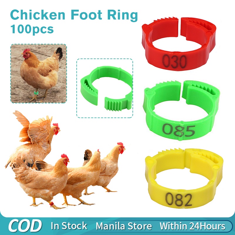 100PCS Adjustable Chicken Leg Rings 3 Colors Numbered Chicken ...