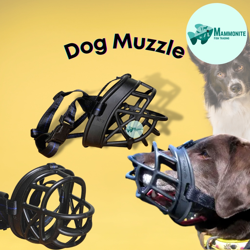Pet Dog Muzzle Busal Plastic Mouth Guard with Straps Anti-Bite | Shopee ...