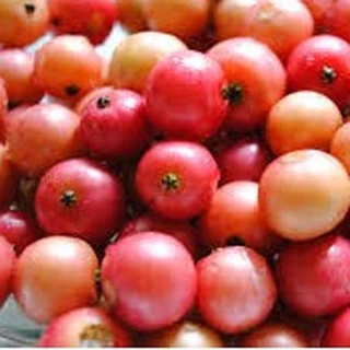 Shop aratilis for Sale on Shopee Philippines