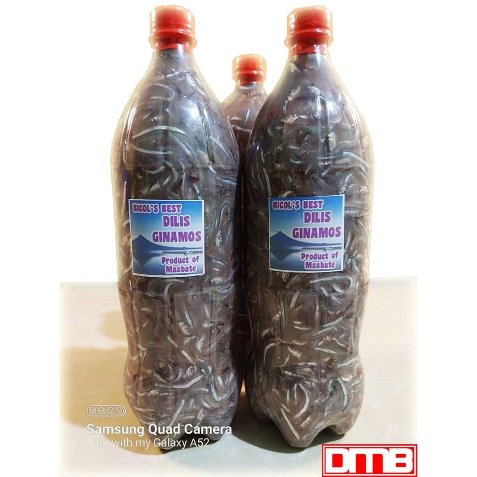 BICOL'S BEST DILIS GINAMOS BAGOONG PRODUCT OF MASBATE 1.5L | Shopee ...