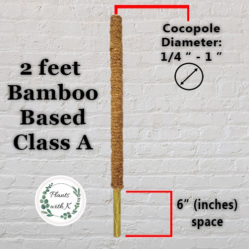 2ft Bolo/Bamboo-based Coco poles; Wholesale Cocopoles; Plant Stick/Pole ...