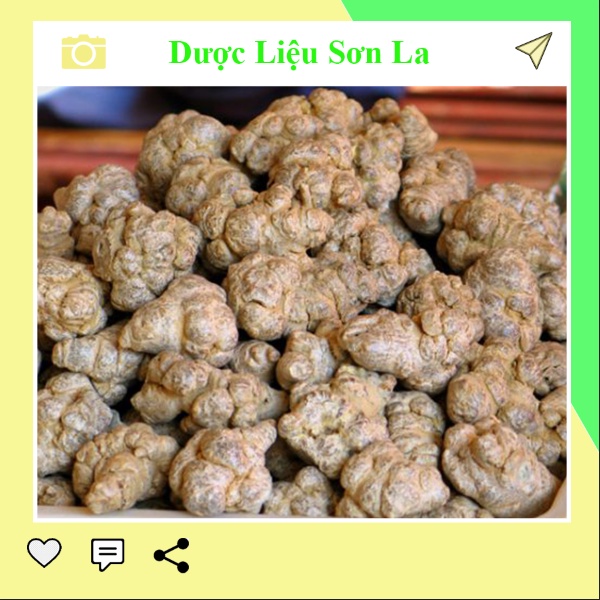 Dried Panax notoginseng root 7 roots 1kg | Shopee Philippines