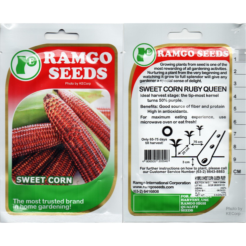Ramgo or Condor White, Sweet, Purple, BiColor, Hybrid Corn Sold per ...