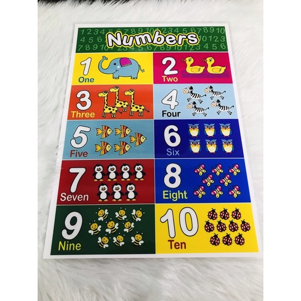 A4 Numbers Laminated Chart for Toddlers | Shopee Philippines