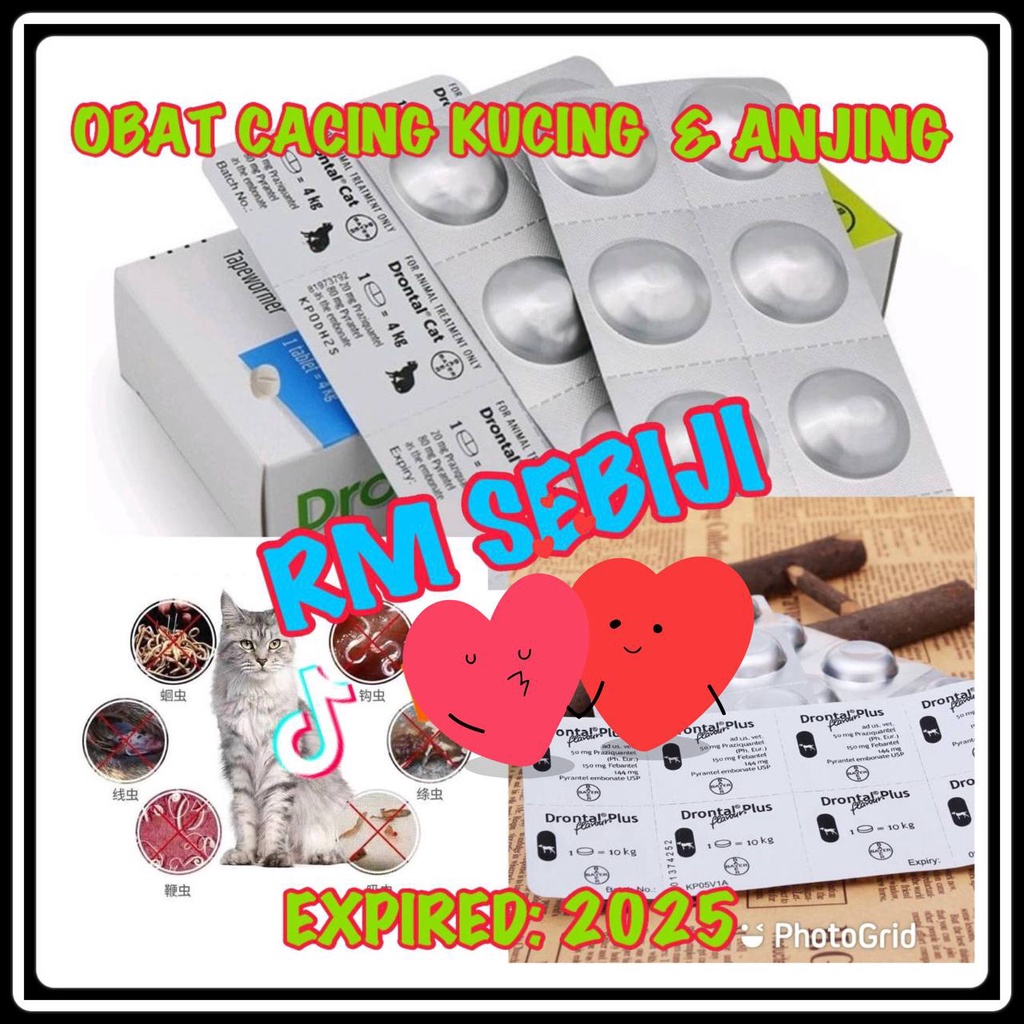 !! Rm A Piece Of Effective Worm And DOG Remover And DRONTA-L CAT DOG ...