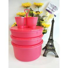 Tupperware Take A Lot Set (4pcs) coral red | Shopee Philippines