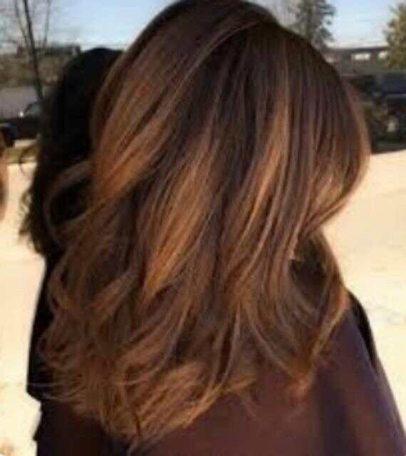 Bremod Permanent Hair Color - 7.33 Dark Golden | Shopee Philippines