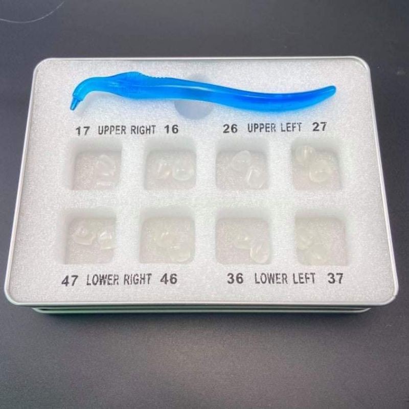 Posterior teeth aesthetic printing kit occlusal stamp | Shopee Philippines