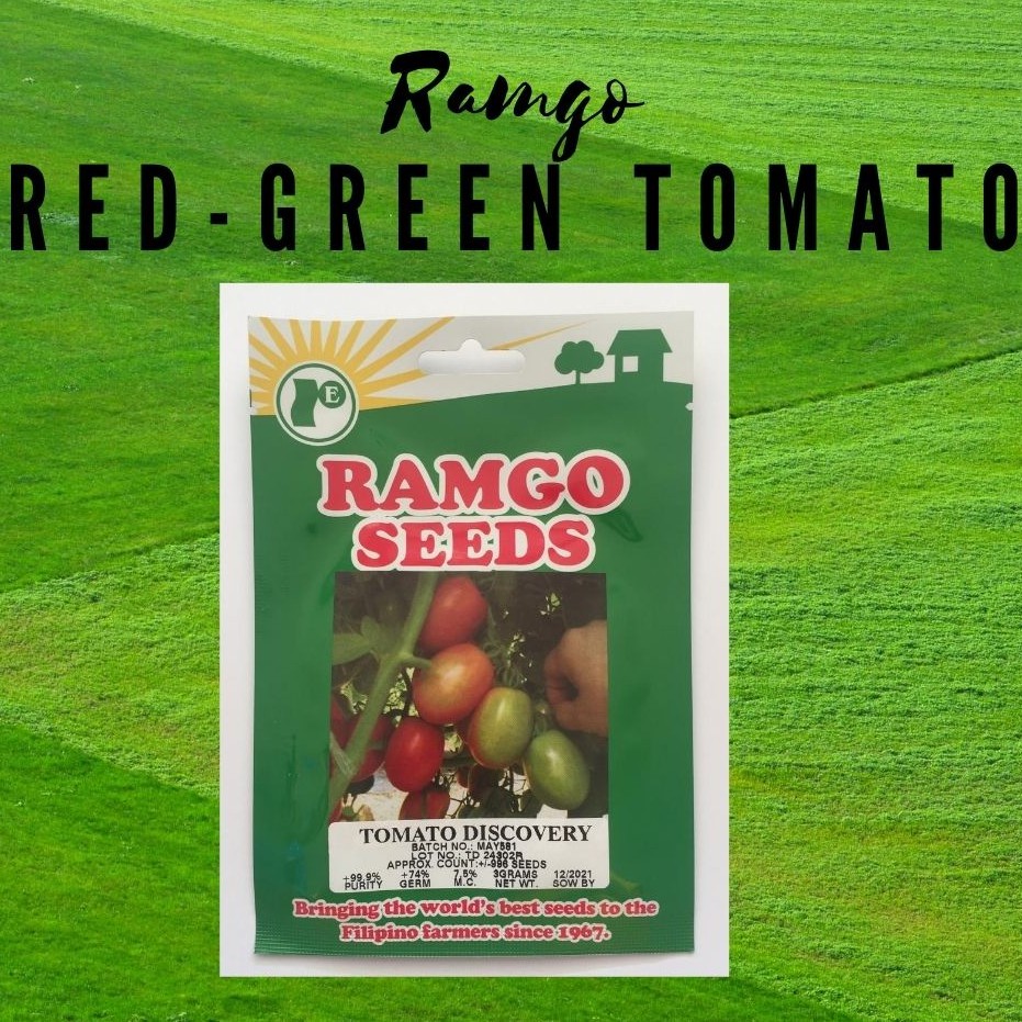 Ramgo TOMATO Varieties | Shopee Philippines