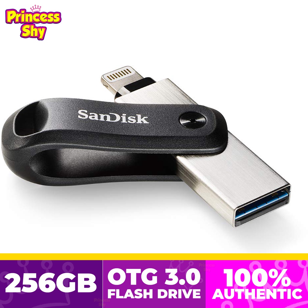 SanDisk iXpand Go 256GB Lightning OTG Flash Drive for iOS Devices ...