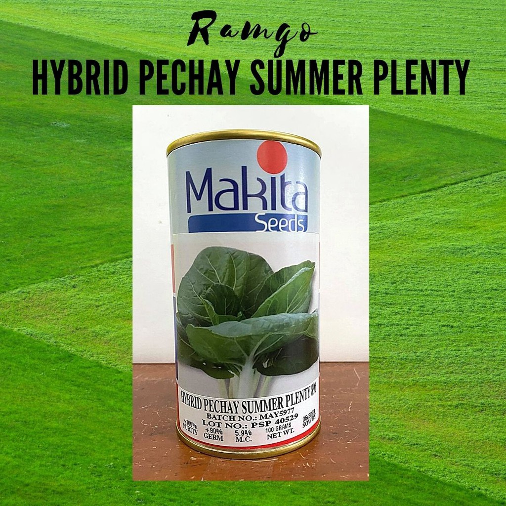 RAMGO PECHAY Summer Plenty and Summer Joy 100gms Vegetable Seeds ...
