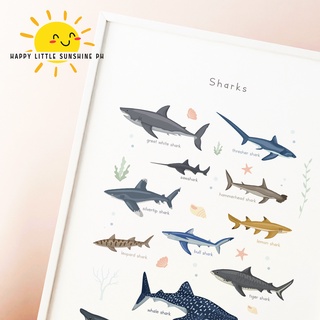 HLSPH | Diff types of Sharks Laminated Educational Wall Chart for Kids ...
