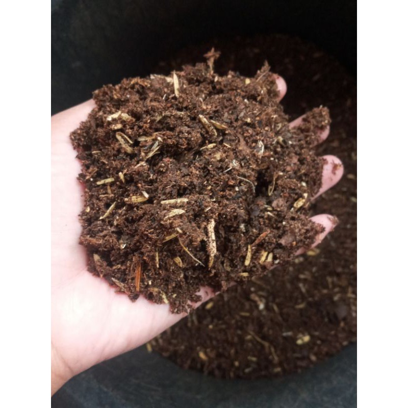 1KG PREMIUM ORGANIC SOILLESS POTTING MIX for Plants, (Alnus Composed ...