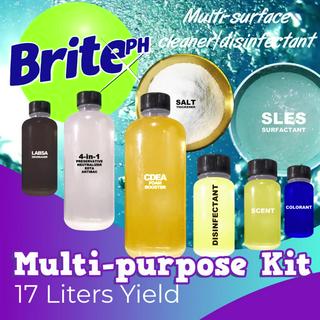 Multi-purpose Cleaner DIY Kit/Multi-surface Cleaner and Disinfectant ...