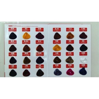 TOV CH Hair Color Tov Ch hair | Shopee Philippines