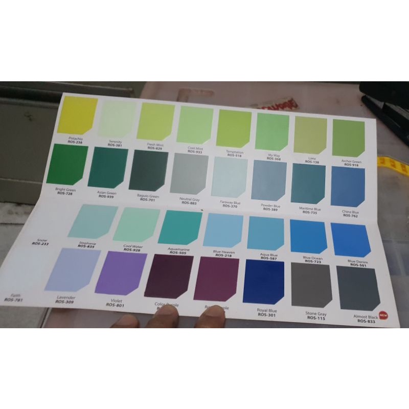 Rain or Shine Elastromeric Paint (green gray blue violet)1 liter ...